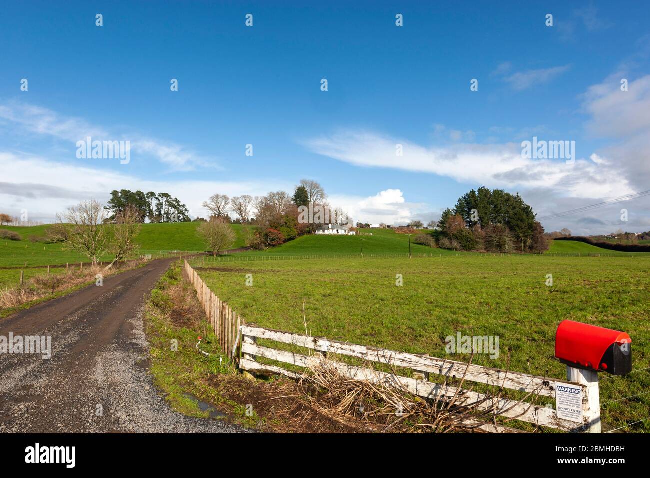 Green pastures in a Farm in New Zealand Stock Photo - Alamy