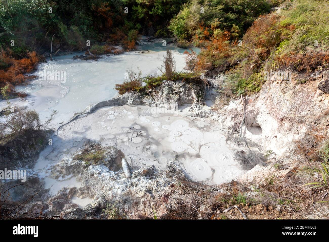 Mud pools, in Orakei Korako Thermal Park, Taupo Volcanic Zone, New ...