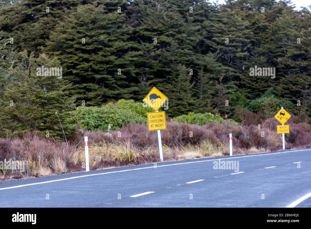 Kiwi road sign caution crossing at night and Slippery road sign in ...