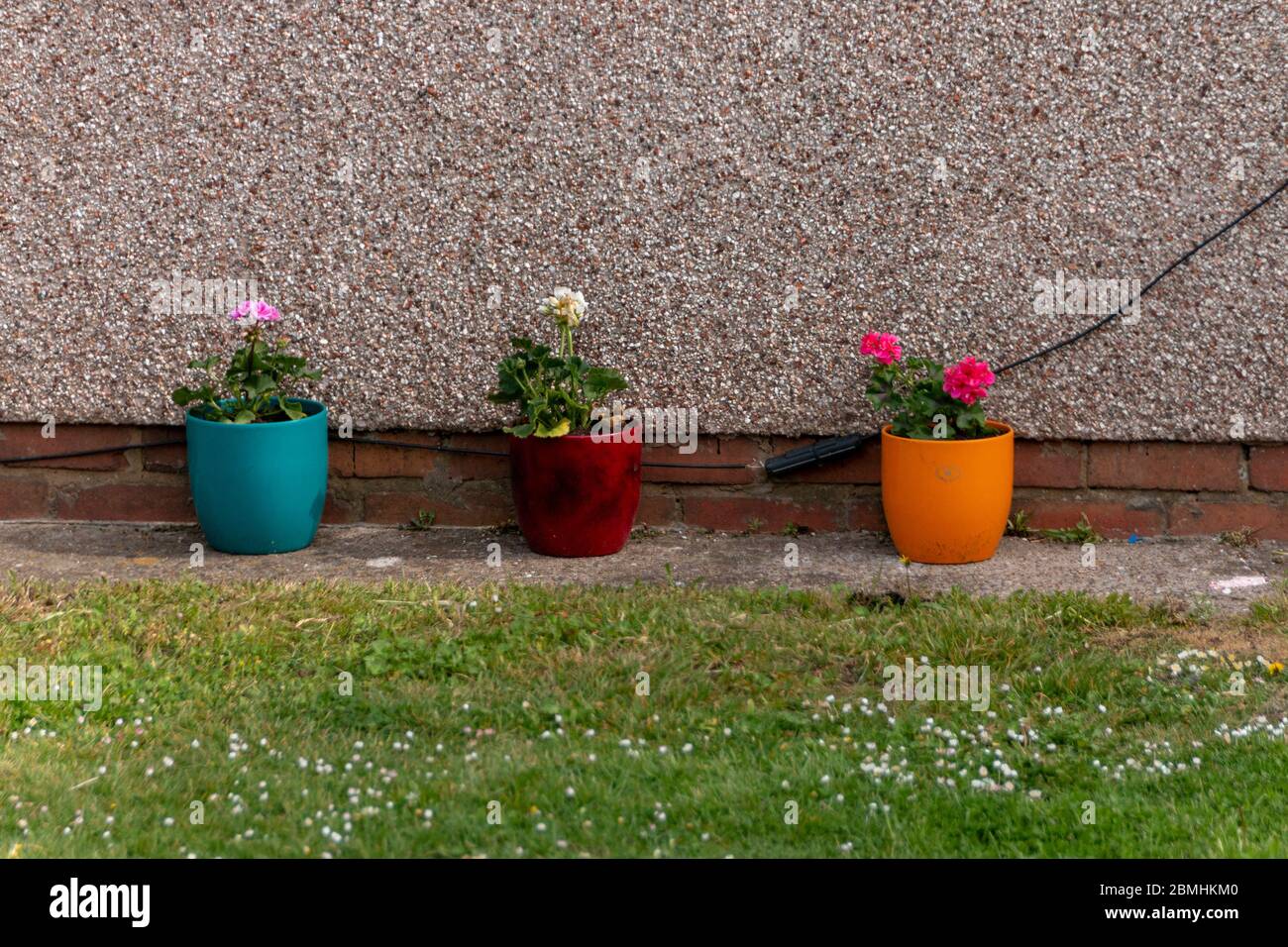 a close up view of three bright flower pots outside in a row along side ...
