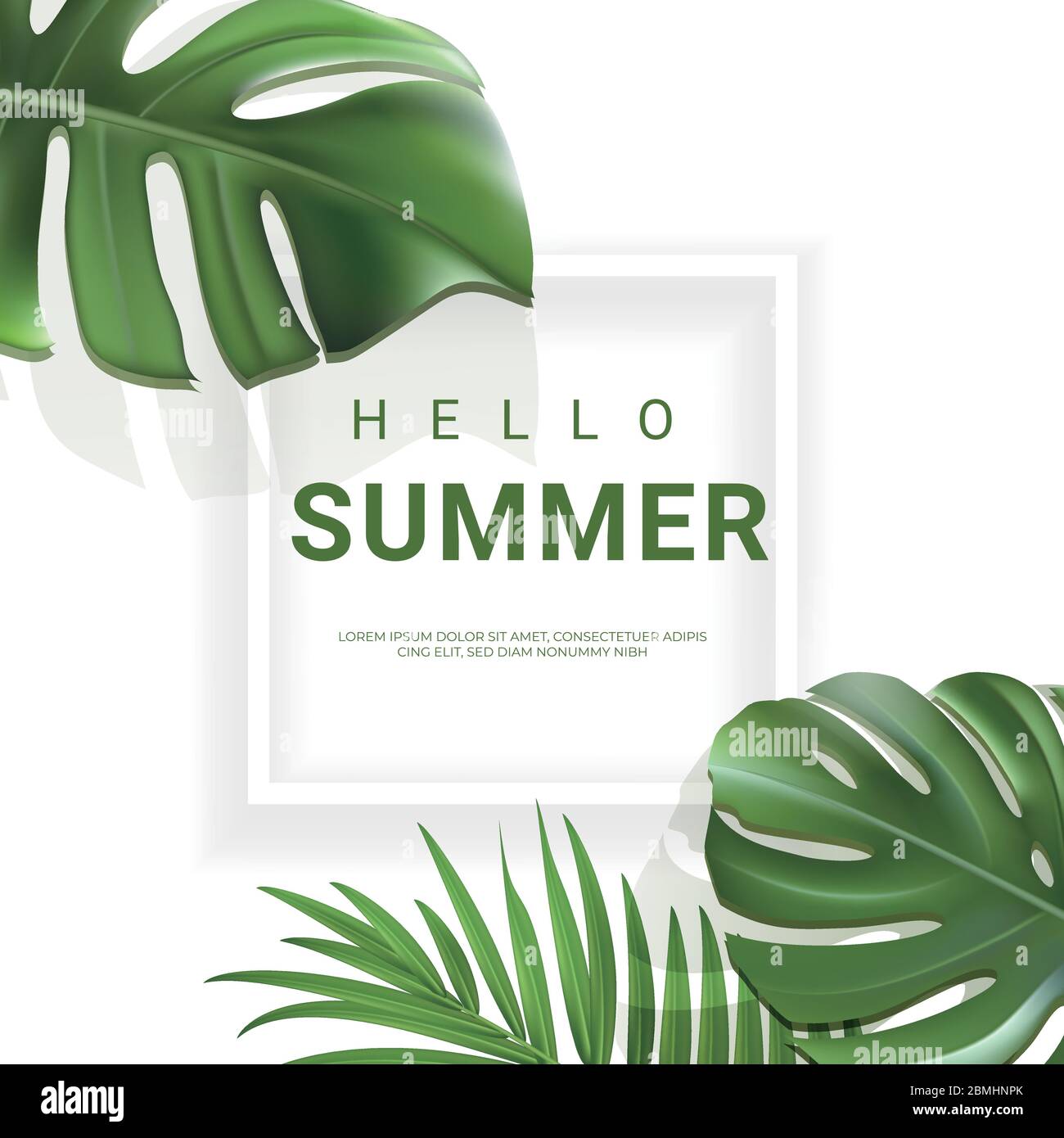 Tropical summer frame background Stock Vector Image & Art - Alamy