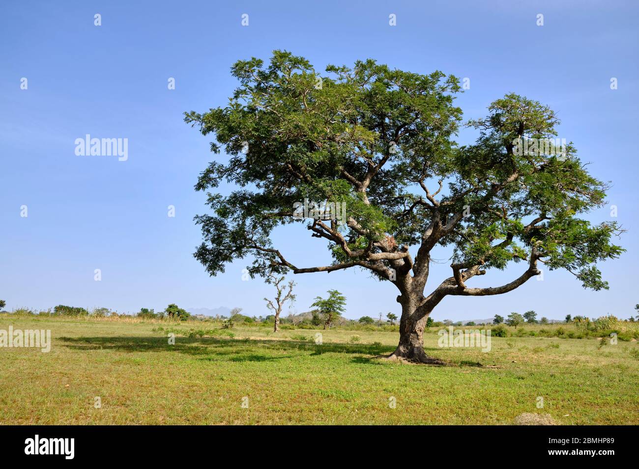 Nigeria scenery landscape hi-res stock photography and images - Alamy