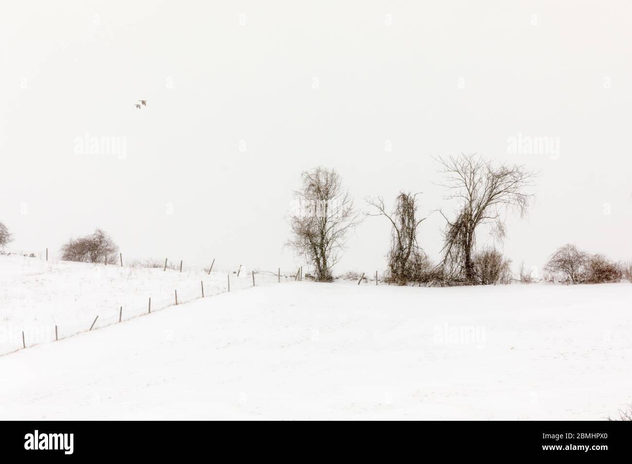 Winter scenic, snow in upstate New York Stock Photo - Alamy Winter scenic, snow in upstate New York Stock Photo - Alamy