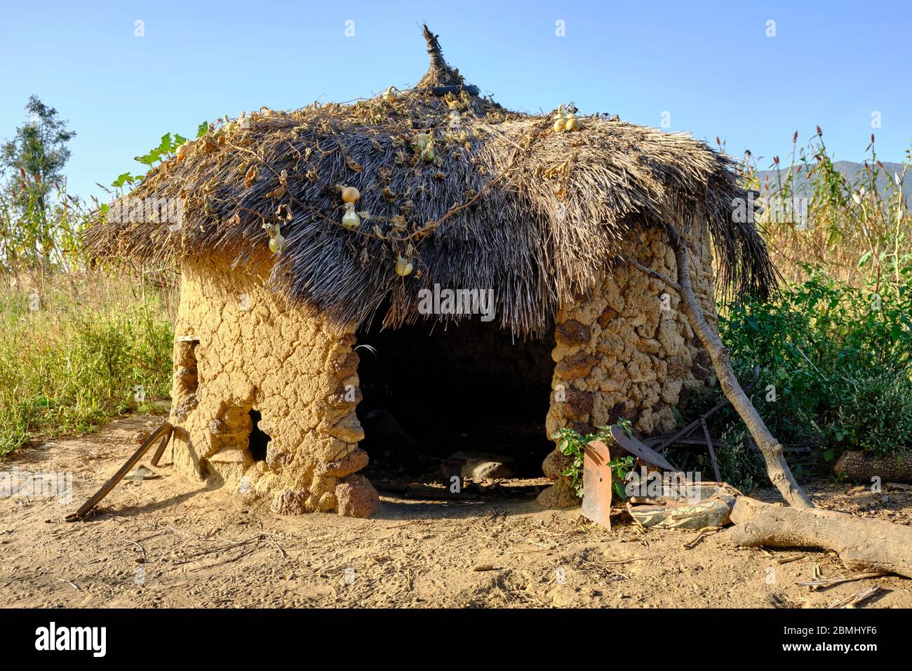 Abandoned thatched-roof mud hut in a remote village of the Zulawa tribe ...
