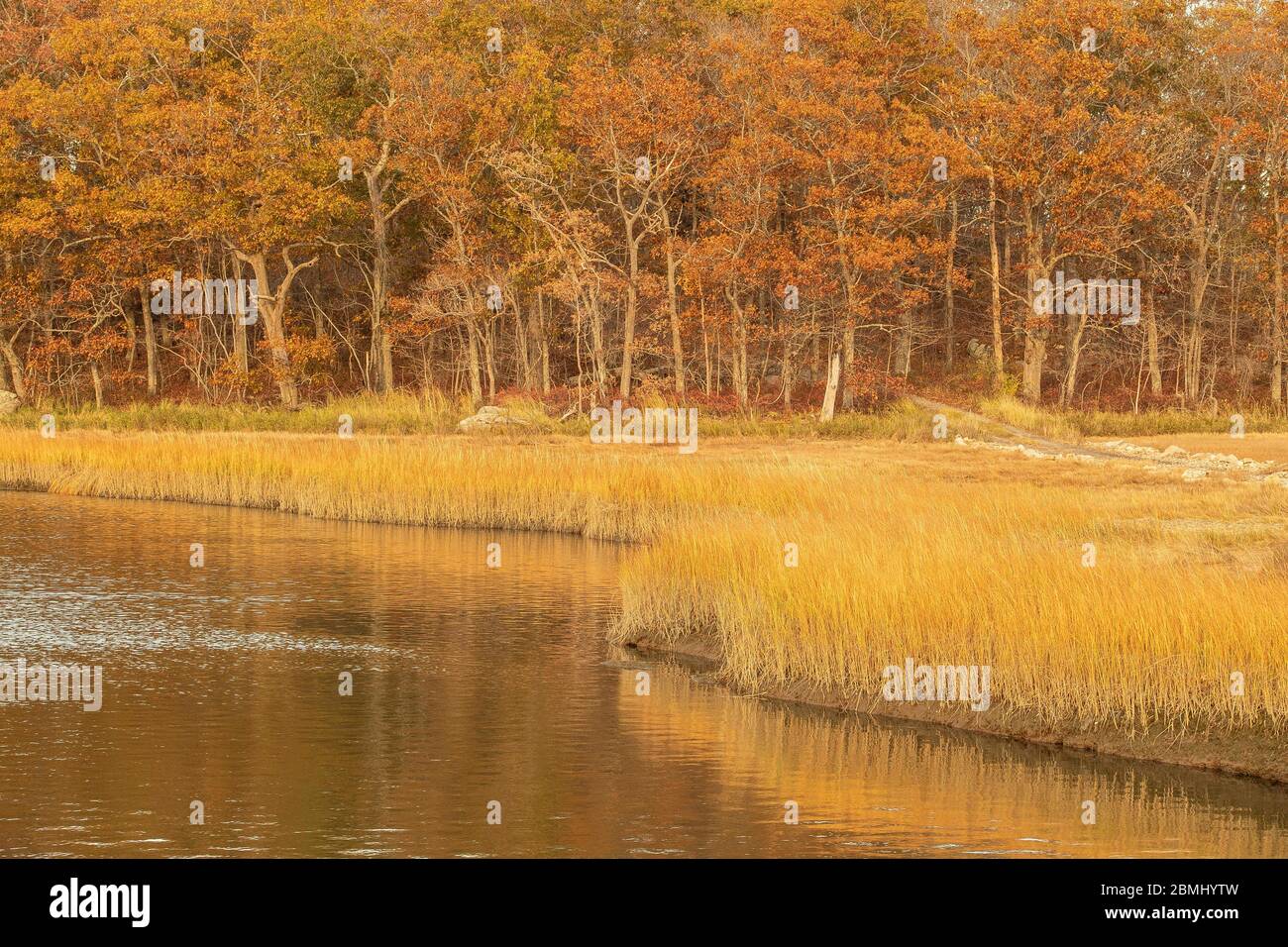 Marine conservation zones hi-res stock photography and images - Alamy