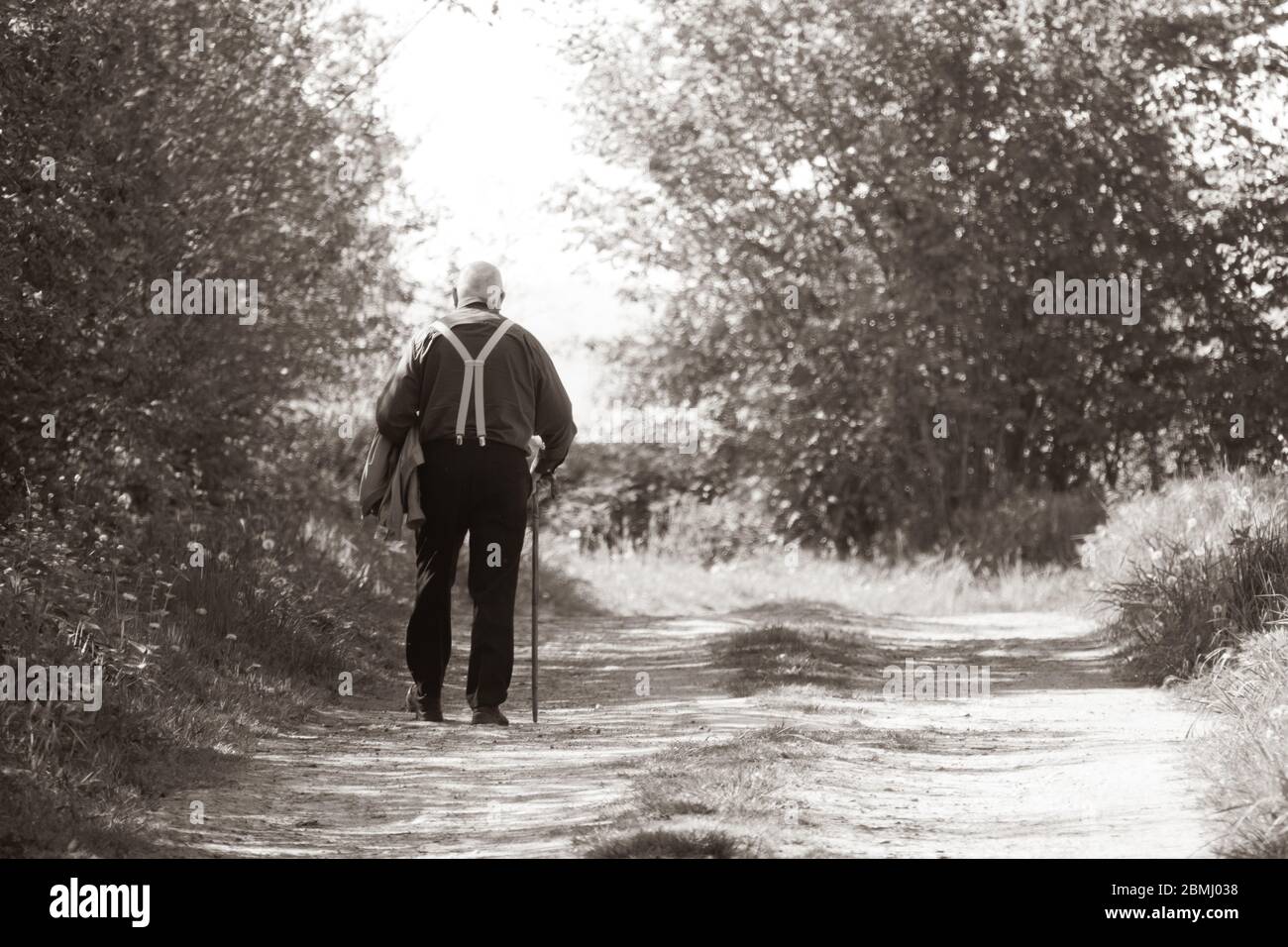 an old man walks along a country lane on a walking stick Stock Photo ...
