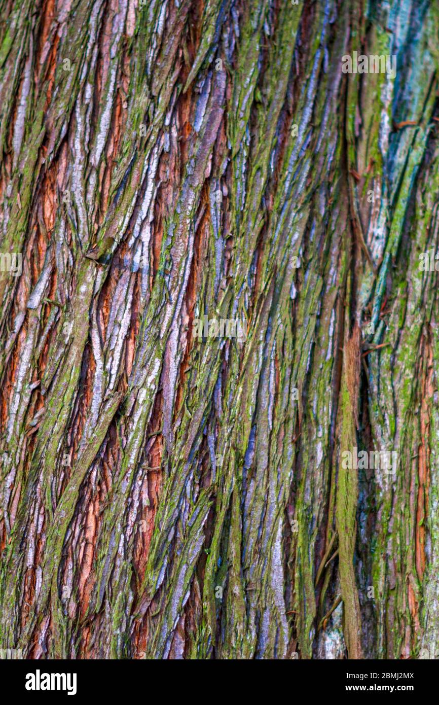 Shades of paint hi-res stock photography and images - Alamy