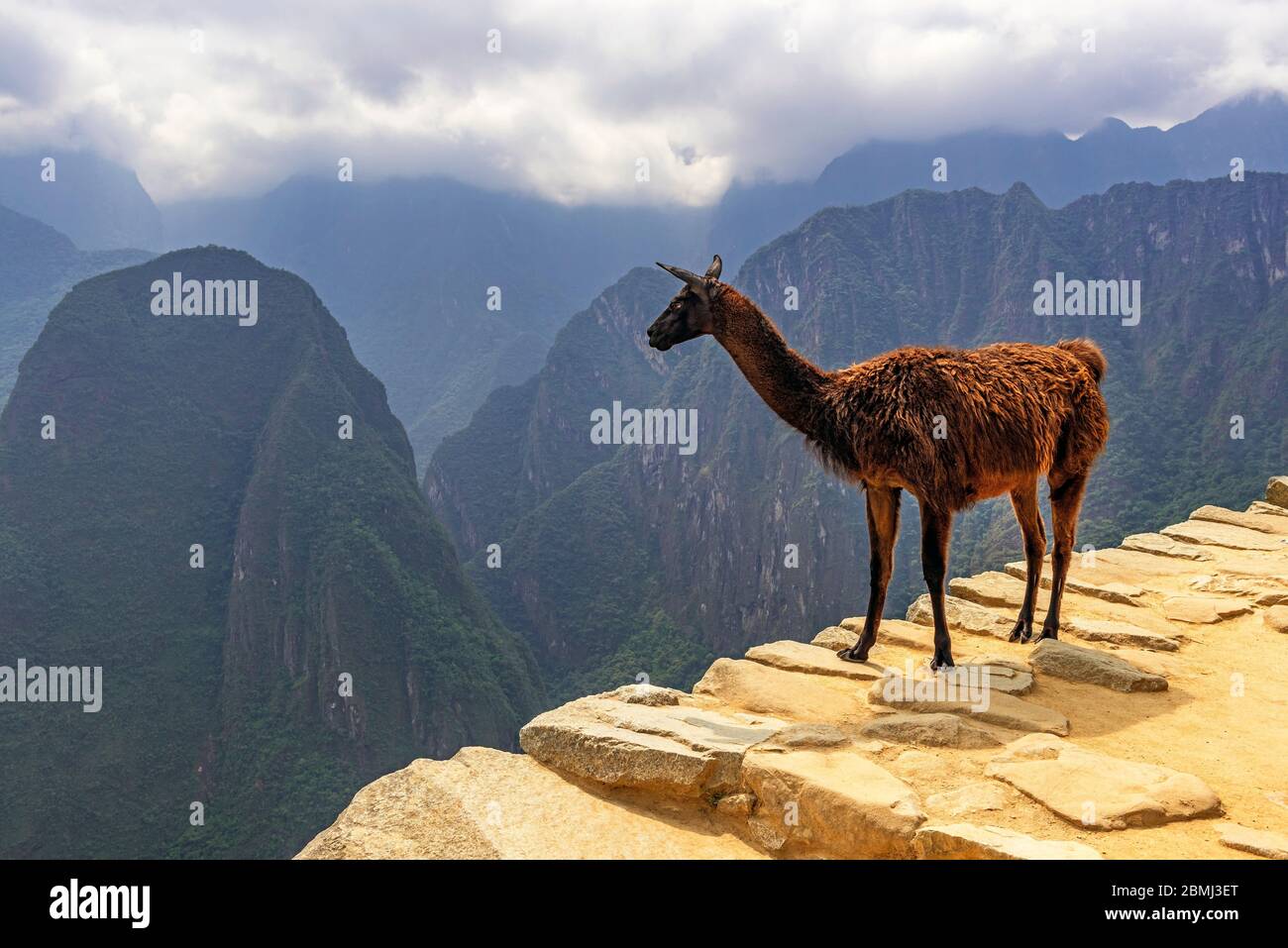 Family peru hike hi-res stock photography and images - Alamy