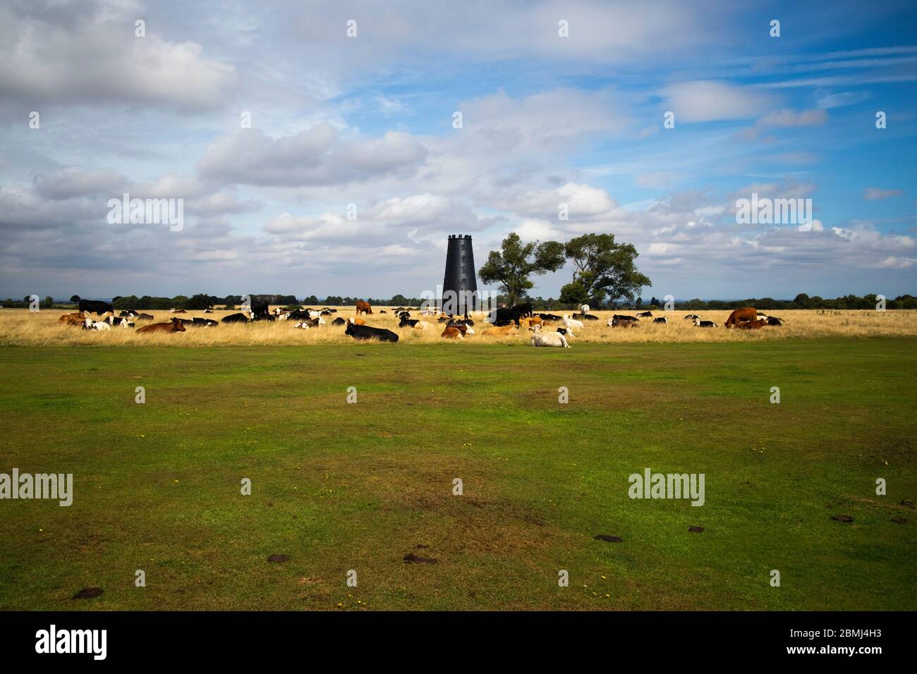 Black mill westwood beverley hi-res stock photography and images - Alamy