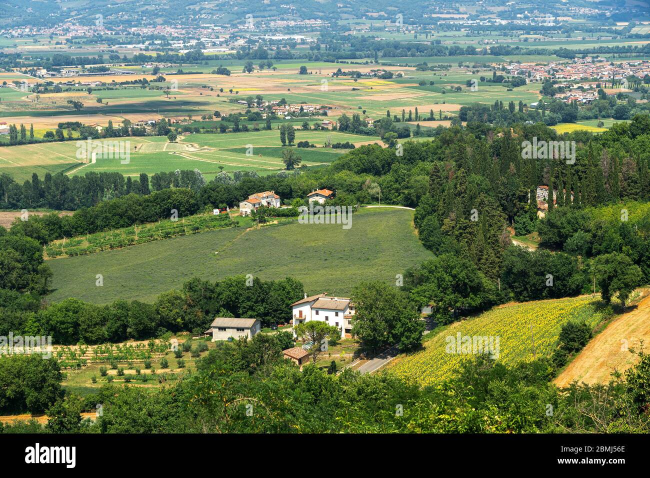 Summer landscape from Citerna, Arezzo, Tuscany, Italy Stock Photo - Alamy