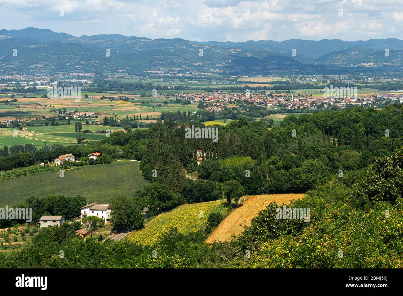 Summer landscape from Citerna, Arezzo, Tuscany, Italy Stock Photo - Alamy