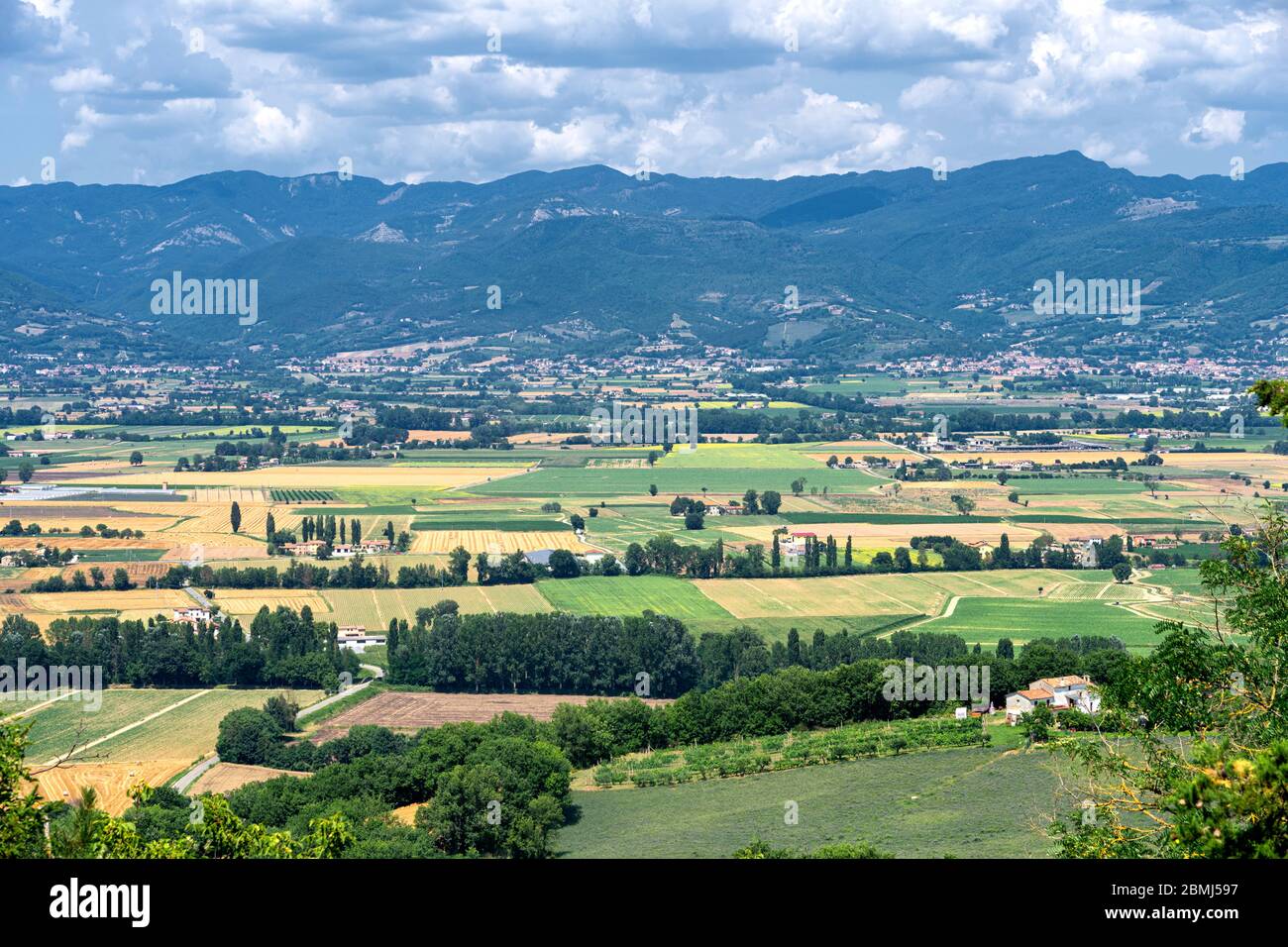 Summer landscape from Citerna, Arezzo, Tuscany, Italy Stock Photo - Alamy