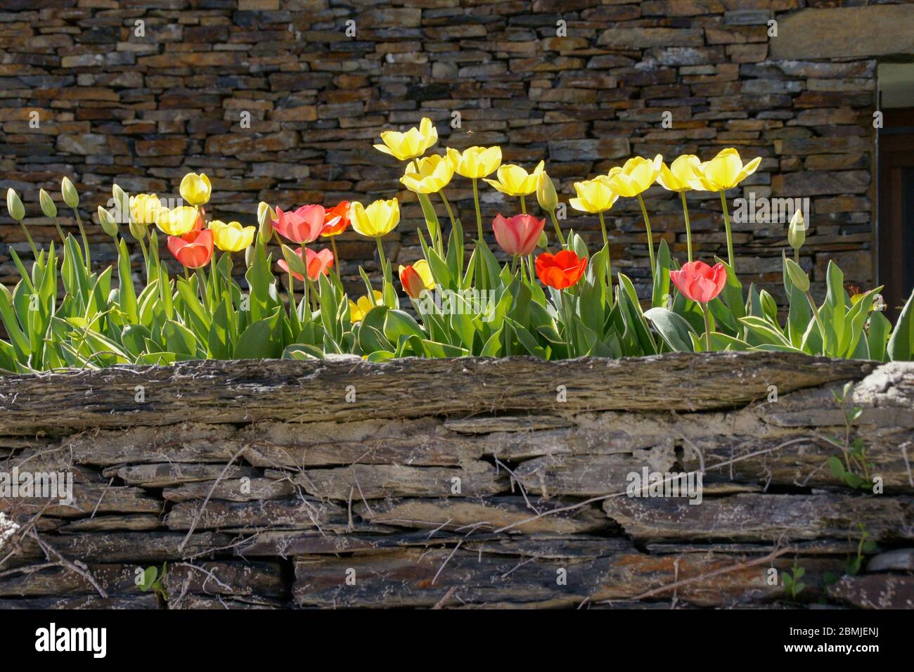 Campillejo (ruta de la arquitectura negra). Guadalajara. Castilla la ...