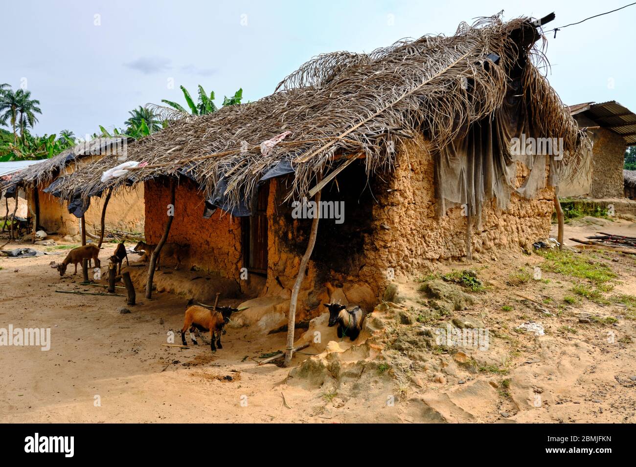 Nigeria village huts hi-res stock photography and images - Alamy