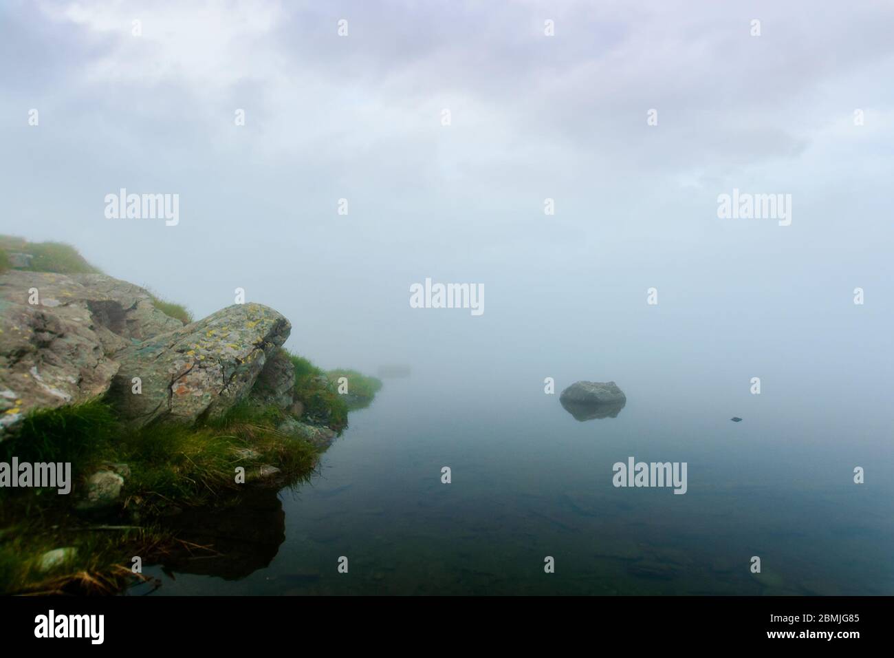 Poor nature hi-res stock photography and images - Alamy