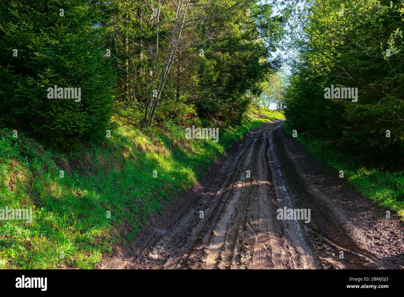 beautiful nature mountain scenery. path through forest on grassy hills ...