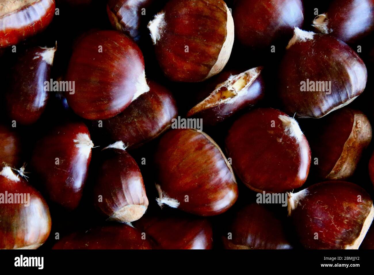 Chestnut wallpaper hi-res stock photography and images - Alamy