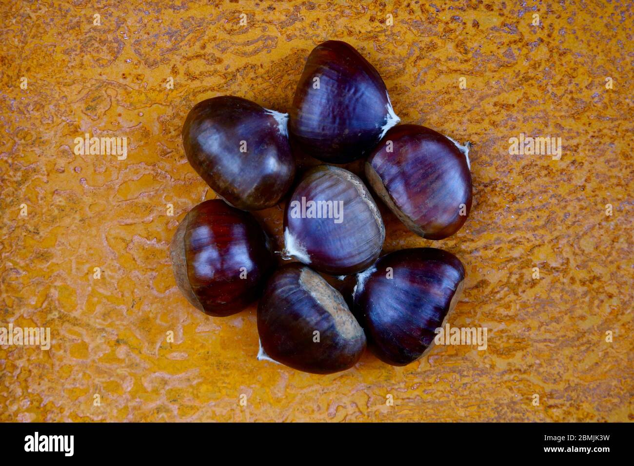 Chesten nuts hi-res stock photography and images - Alamy