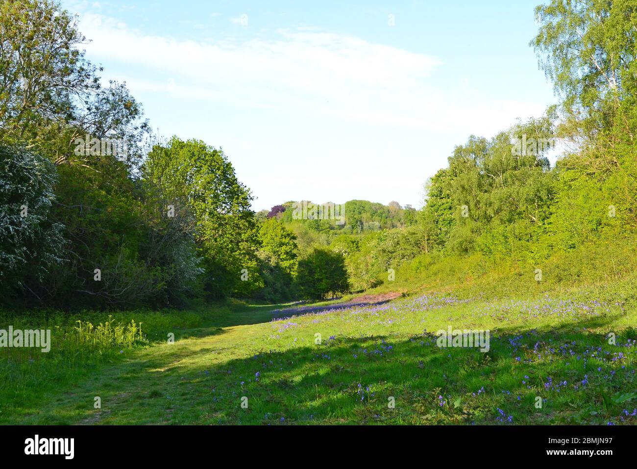 Spring scenes from Lullingstone Country Park, Sevenoaks, in the Darent ...