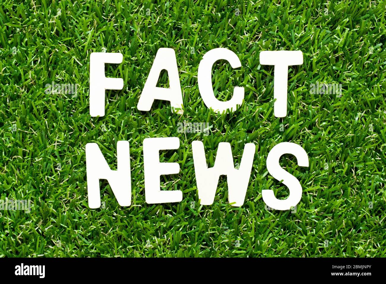 Wood alphabet letter in word fact news on green grass background Stock ...