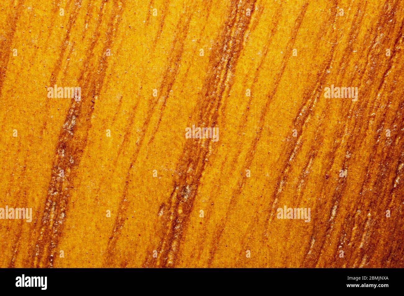 Varnished wood texture hi-res stock photography and images - Alamy