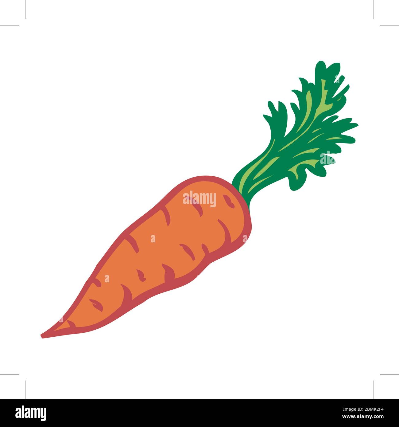 Illustration carrot plant top Stock Vector Images - Alamy