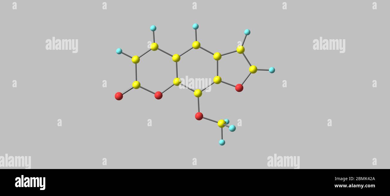 Xanthotoxin Molecular Formula Network Pharmacology And Experimental