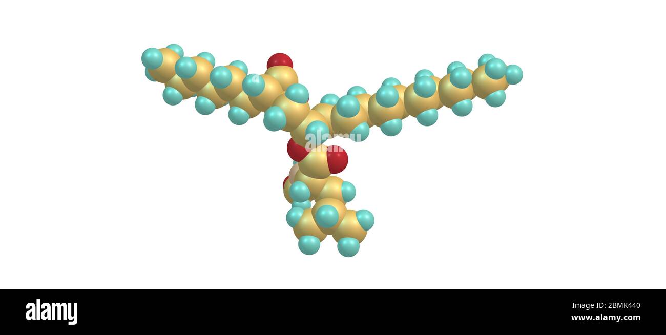 Orlistat is a drug designed to treat obesity.Its primary function is ...
