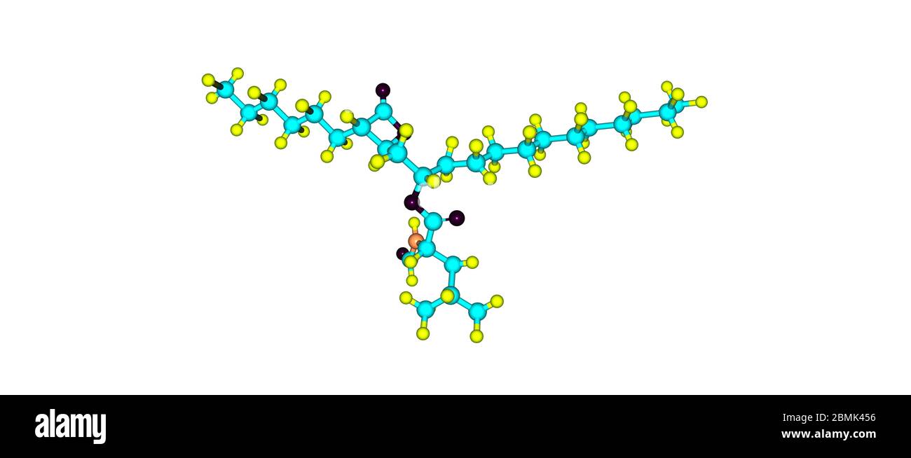 Orlistat is a drug designed to treat obesity.Its primary function is ...