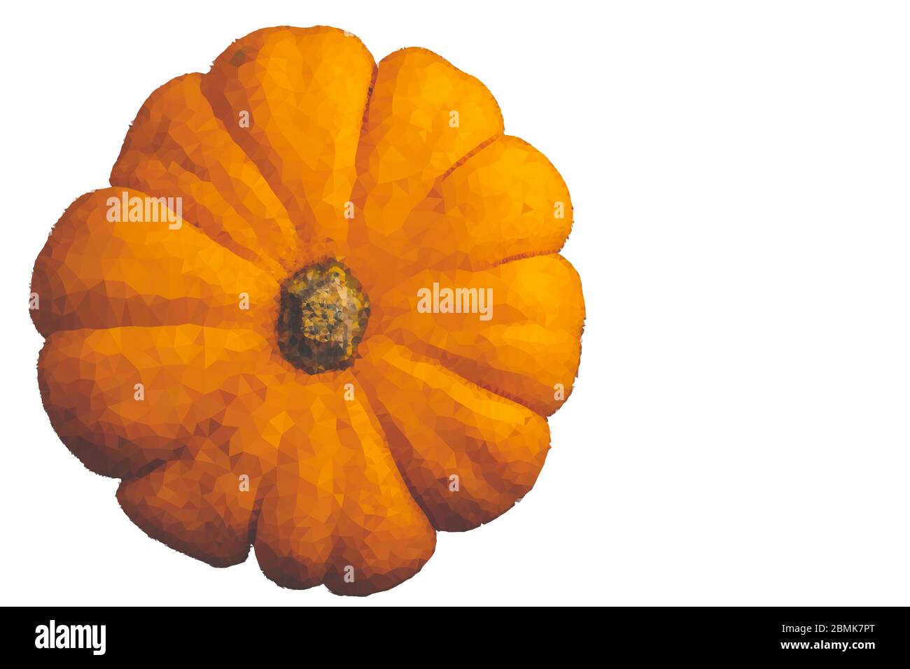 Abstract Triangles line A Single fresh orange miniature pumpkin ...