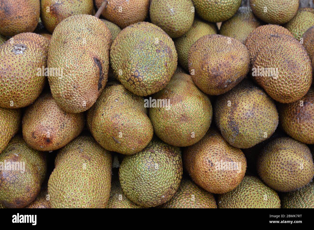 Cempedak texture hi-res stock photography and images - Alamy