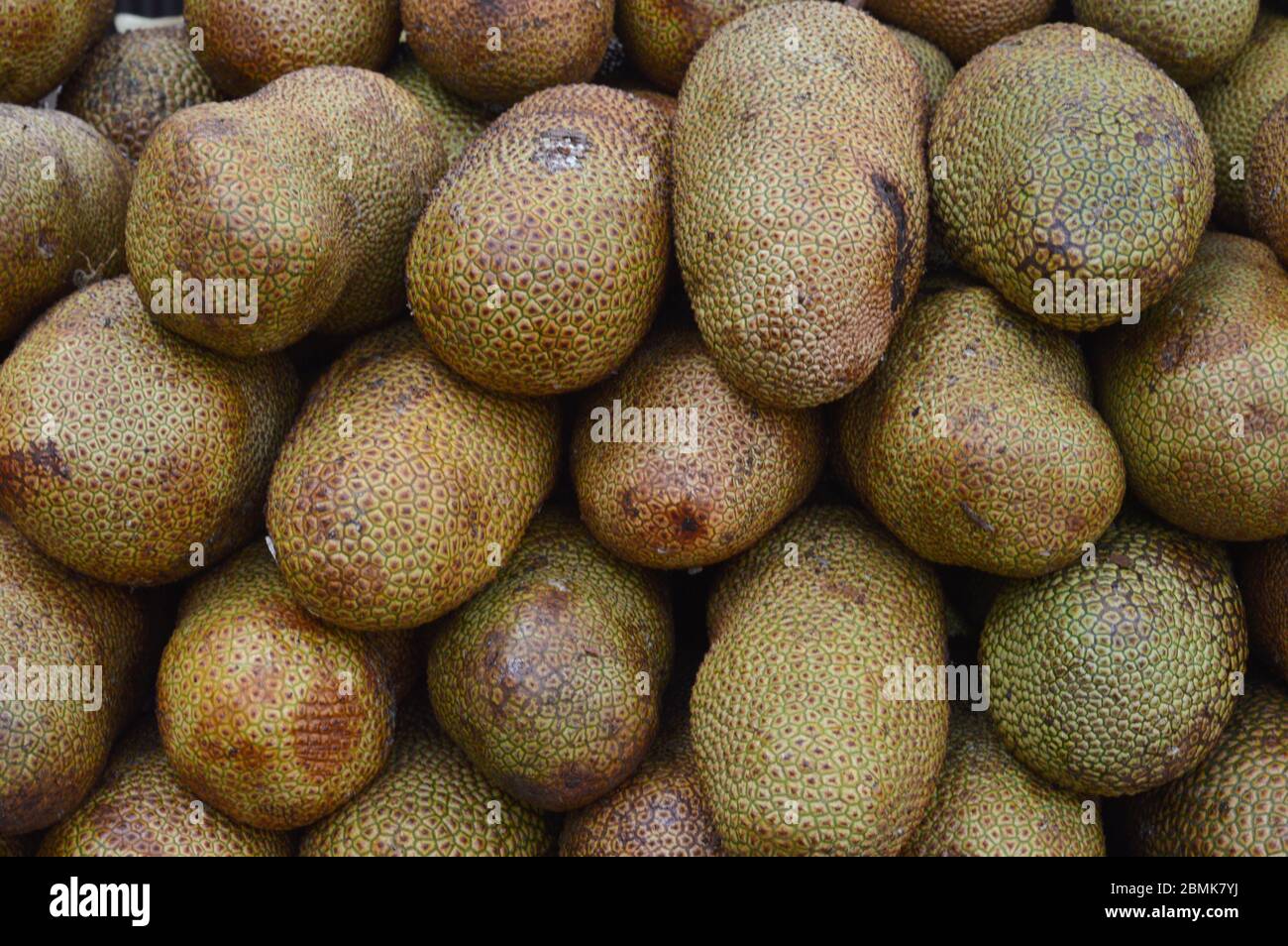 Cempedak texture hi-res stock photography and images - Alamy
