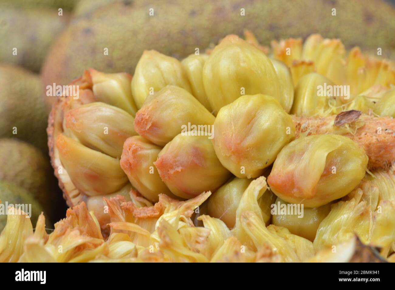 Cempedak texture hi-res stock photography and images - Alamy