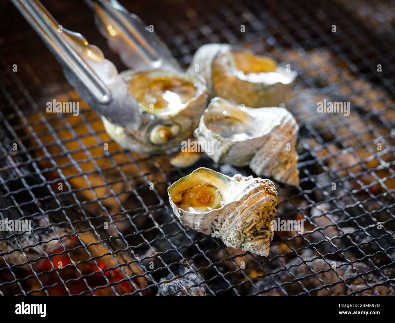 Turban Shell grilling on a Hot Chacoal Stove. Fresh Seafood Course in ...