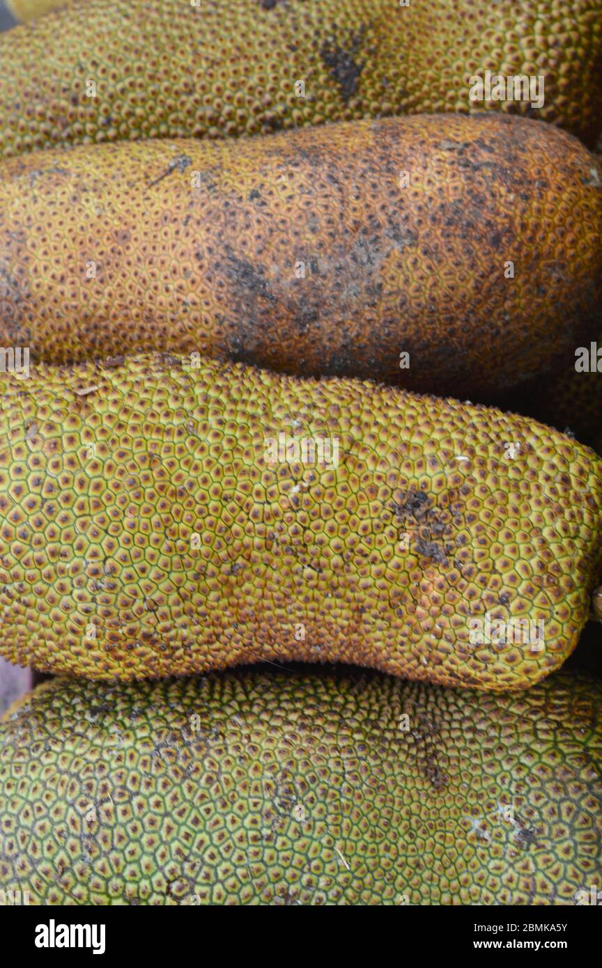 Cempedak texture hi-res stock photography and images - Alamy