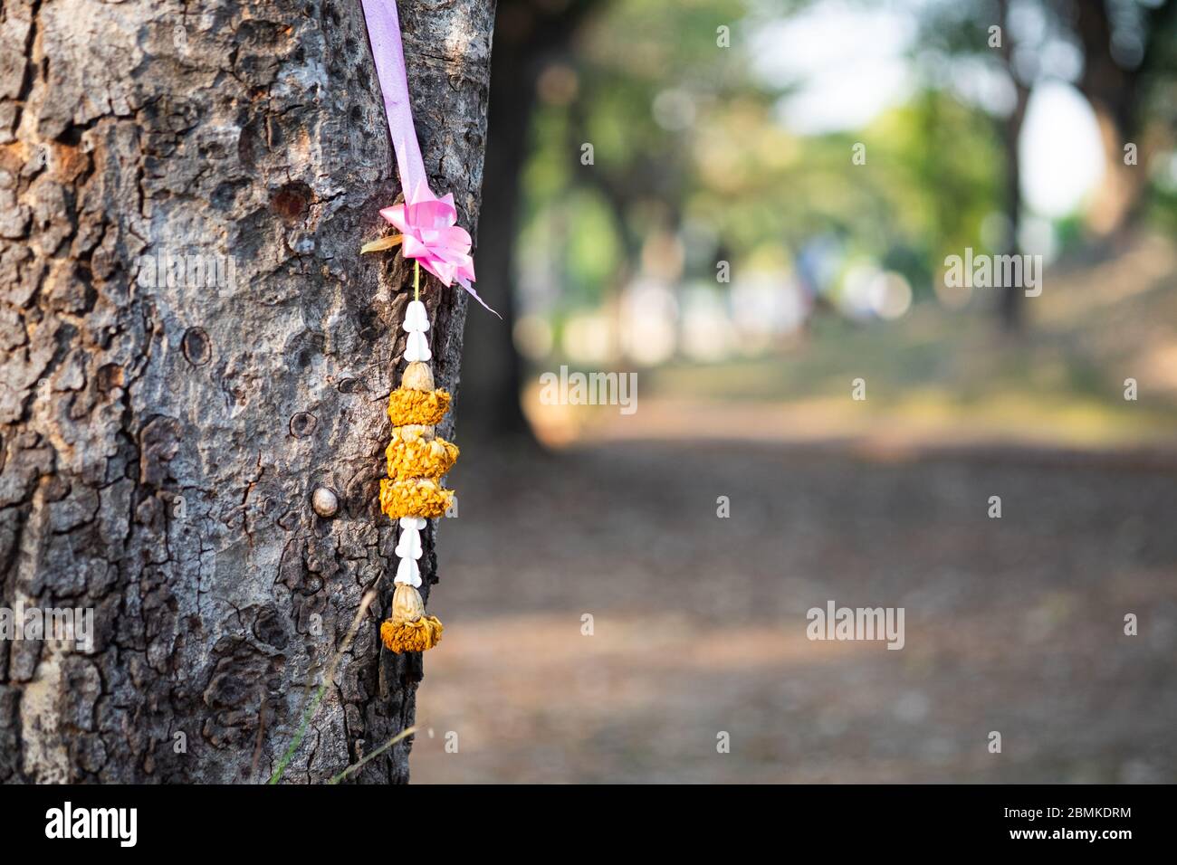 Things to see adore hi-res stock photography and images - Alamy