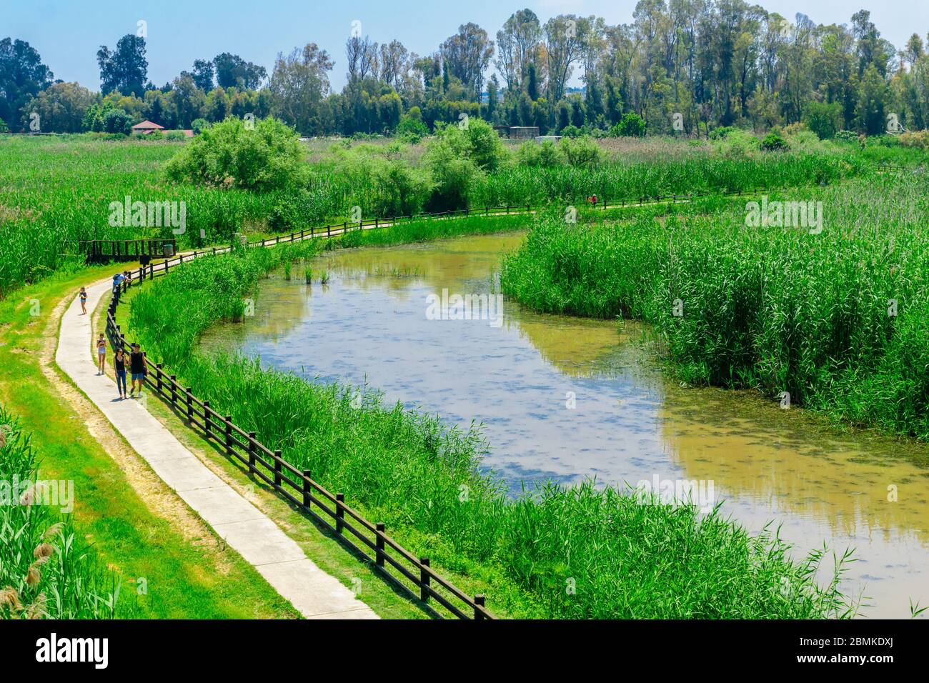 Hulata, Israel - May 07, 2020: View of a footpath and wetland, with ...