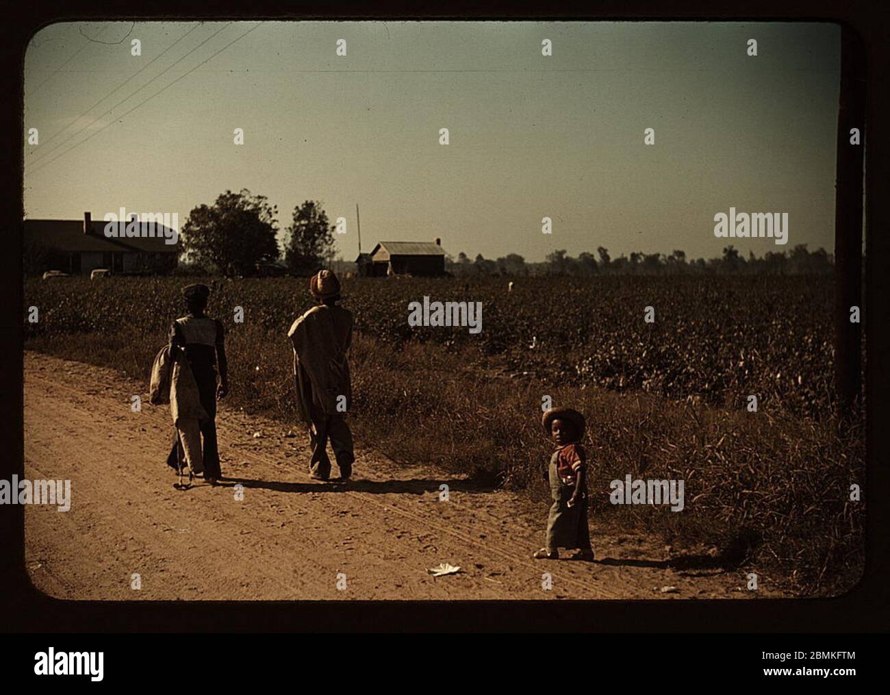 Mileston Plantation High Resolution Stock Photography and Images - Alamy