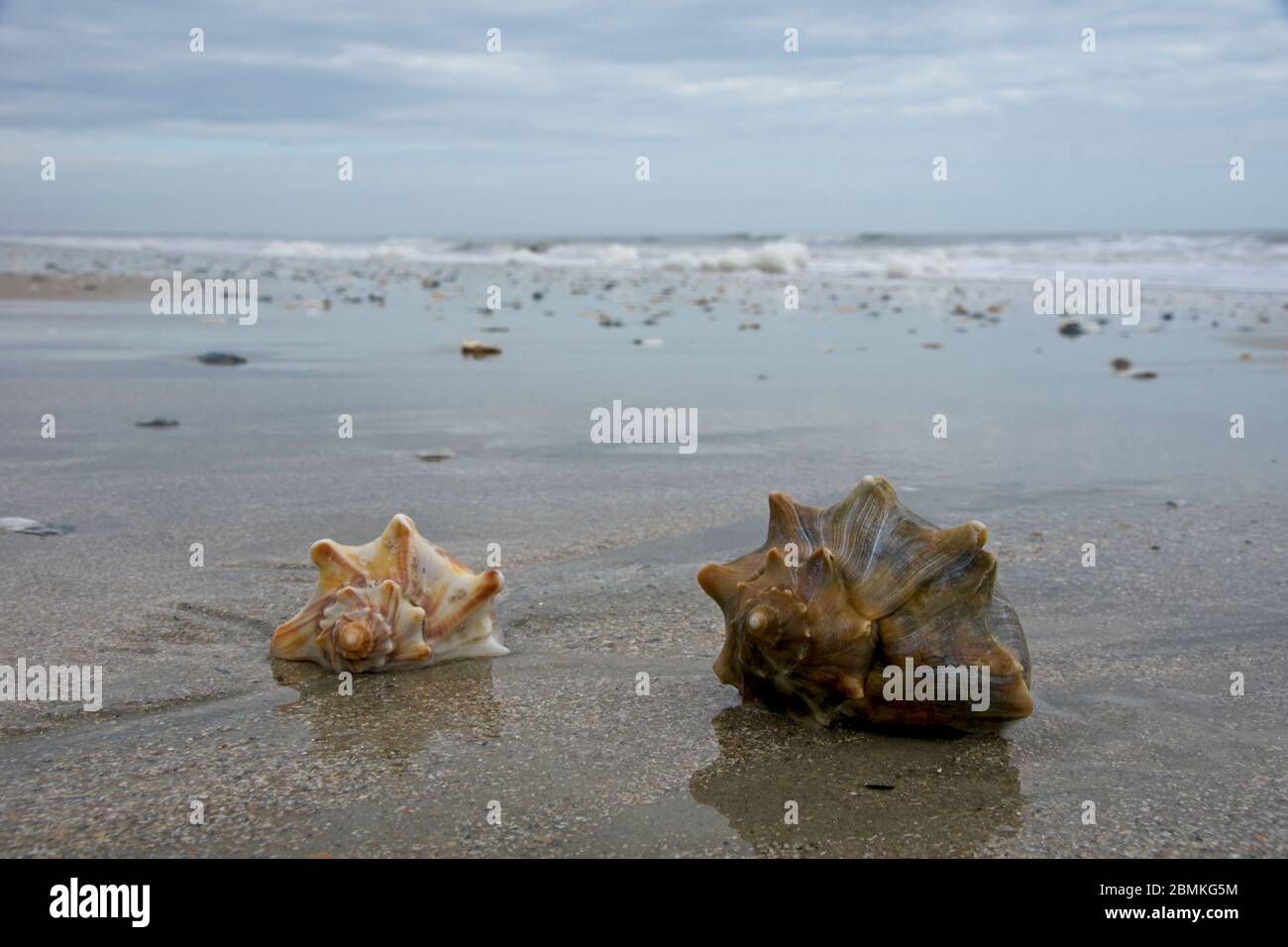 Botany Bay Plantation Heritage Preserve High Resolution Stock ...