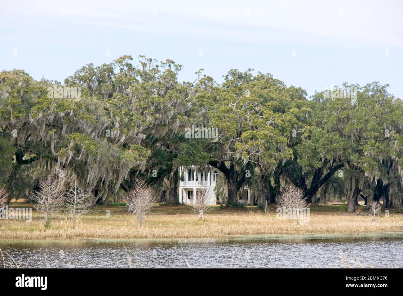 The Grove Plantation in ACE Basin National Wildlife Refuge in Hollywood ...