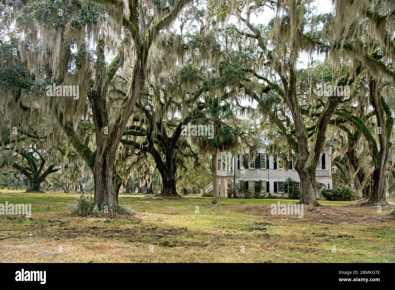 Ace basin hi-res stock photography and images - Alamy