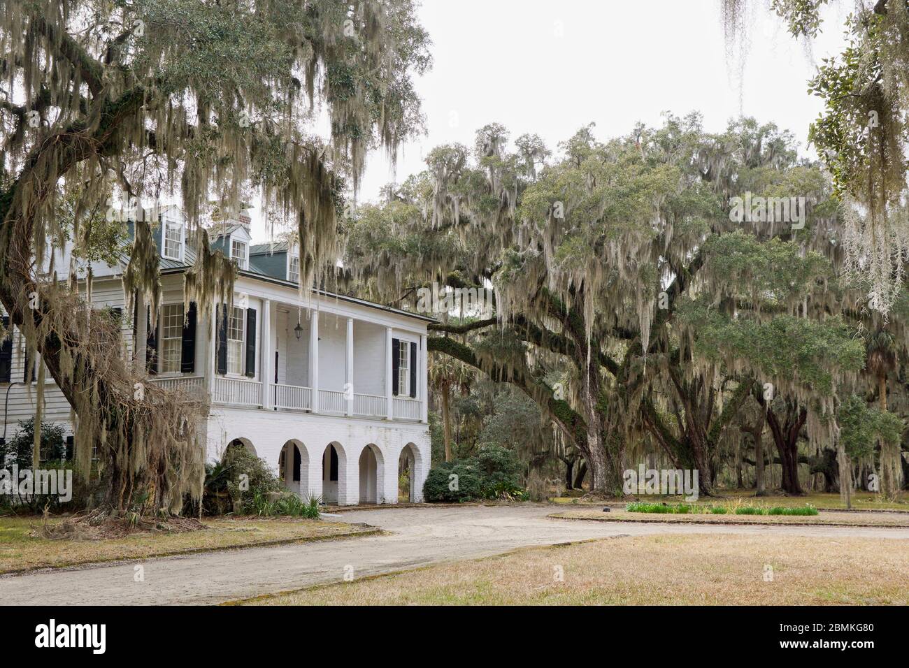 Ace basin hi-res stock photography and images - Alamy