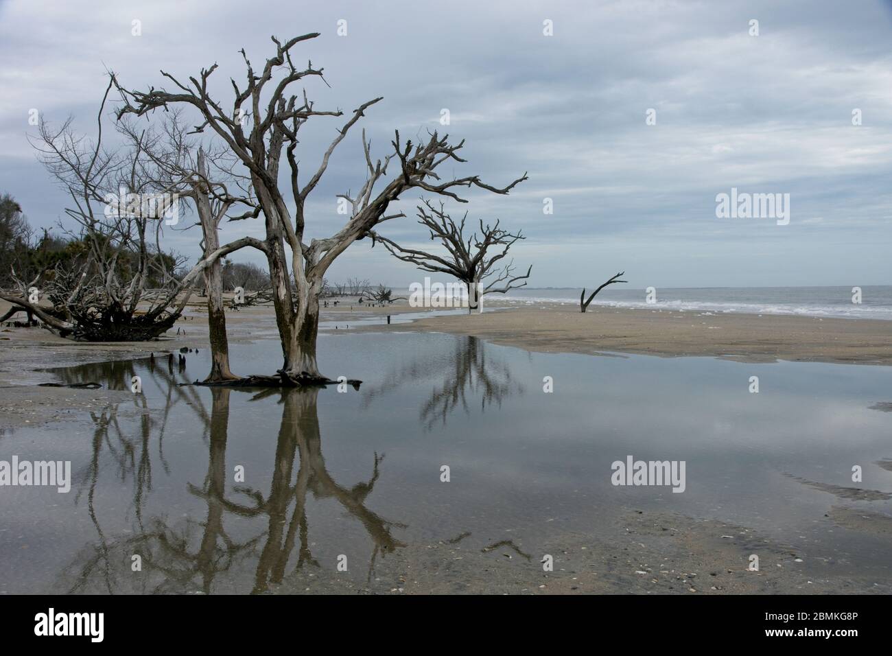 Botany Bay Plantation Heritage Preserve High Resolution Stock ...