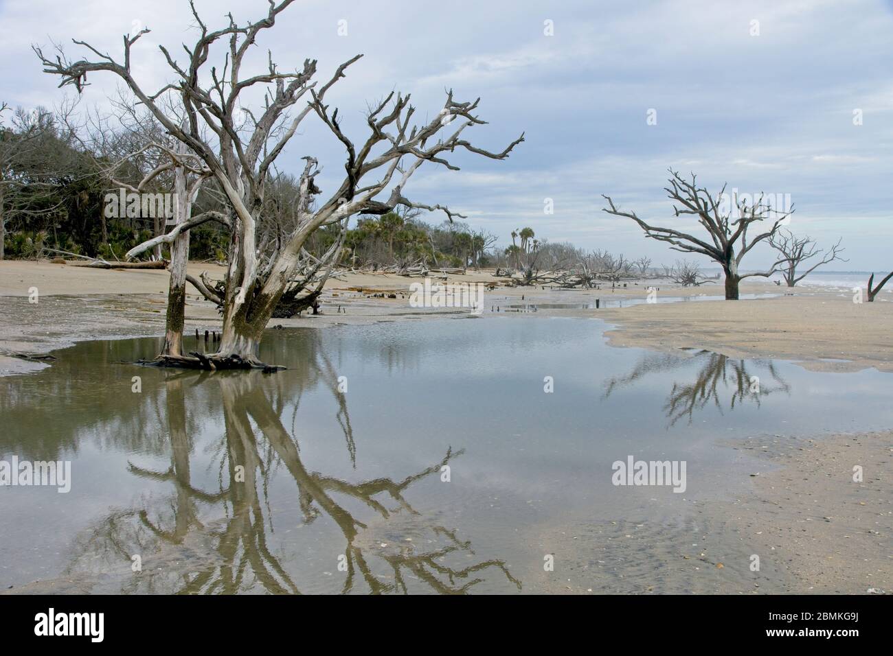 Botany Bay Plantation Heritage Preserve High Resolution Stock ...