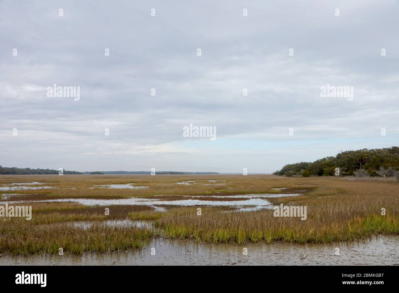Botany Bay Plantation Heritage Preserve High Resolution Stock ...