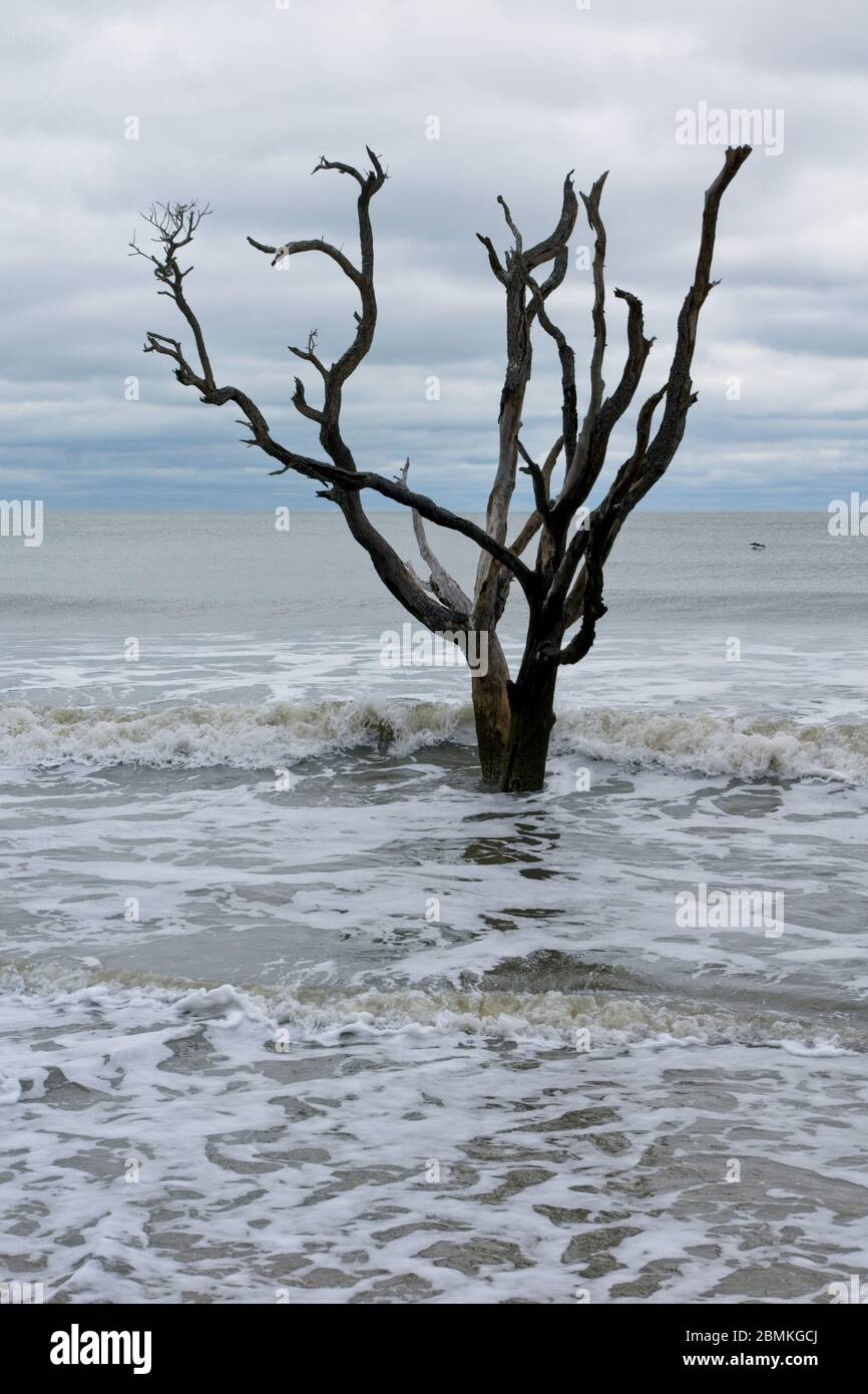 Botany bay plantation heritage preserve hi-res stock photography and ...