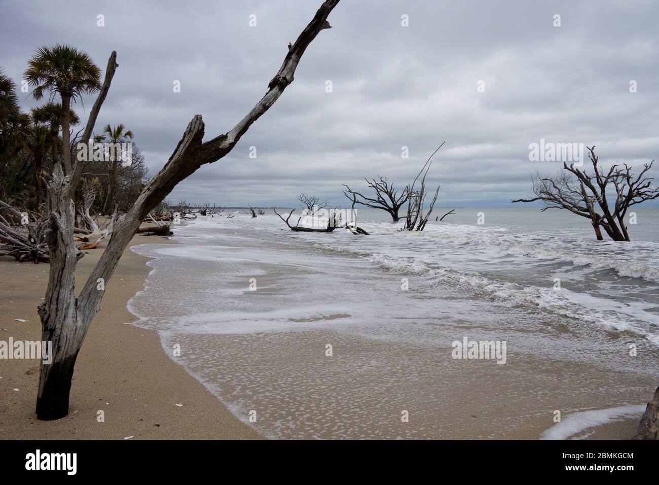 Botany Bay Plantation Heritage Preserve High Resolution Stock ...