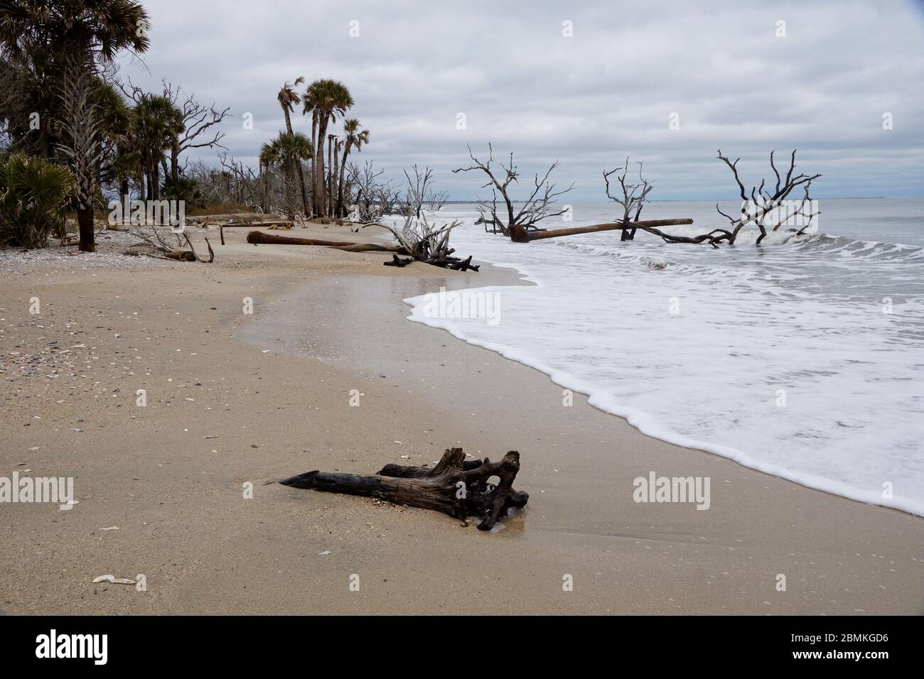 Botany Bay Plantation Heritage Preserve High Resolution Stock ...