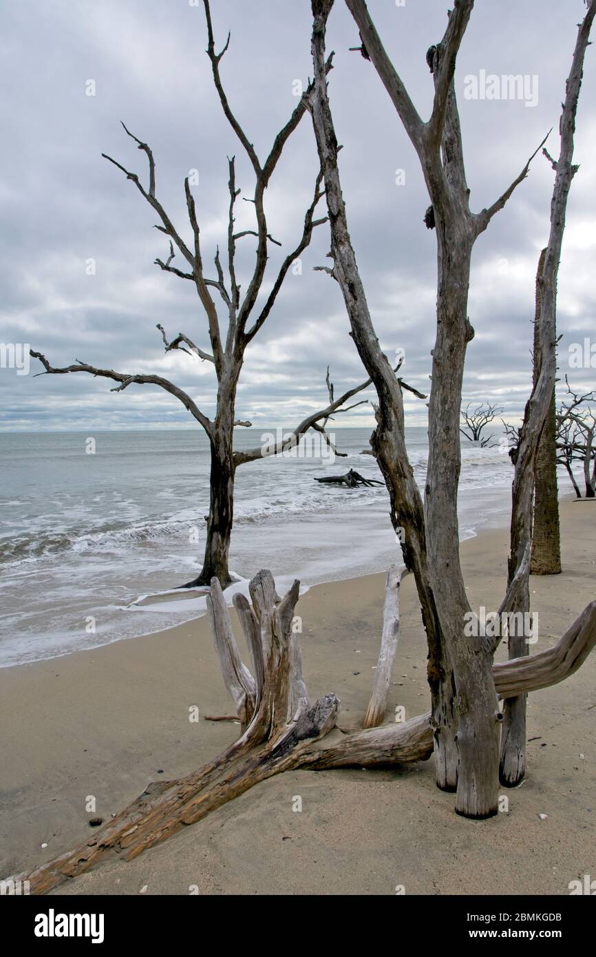 Botany Bay Plantation Heritage Preserve High Resolution Stock ...