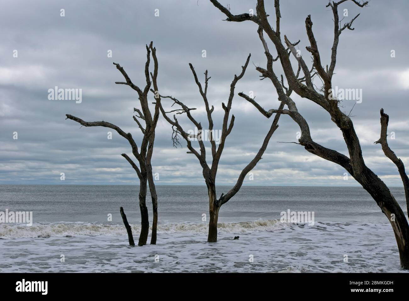 Botany Bay Plantation Heritage Preserve High Resolution Stock ...